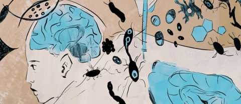 Science - Bloom Science